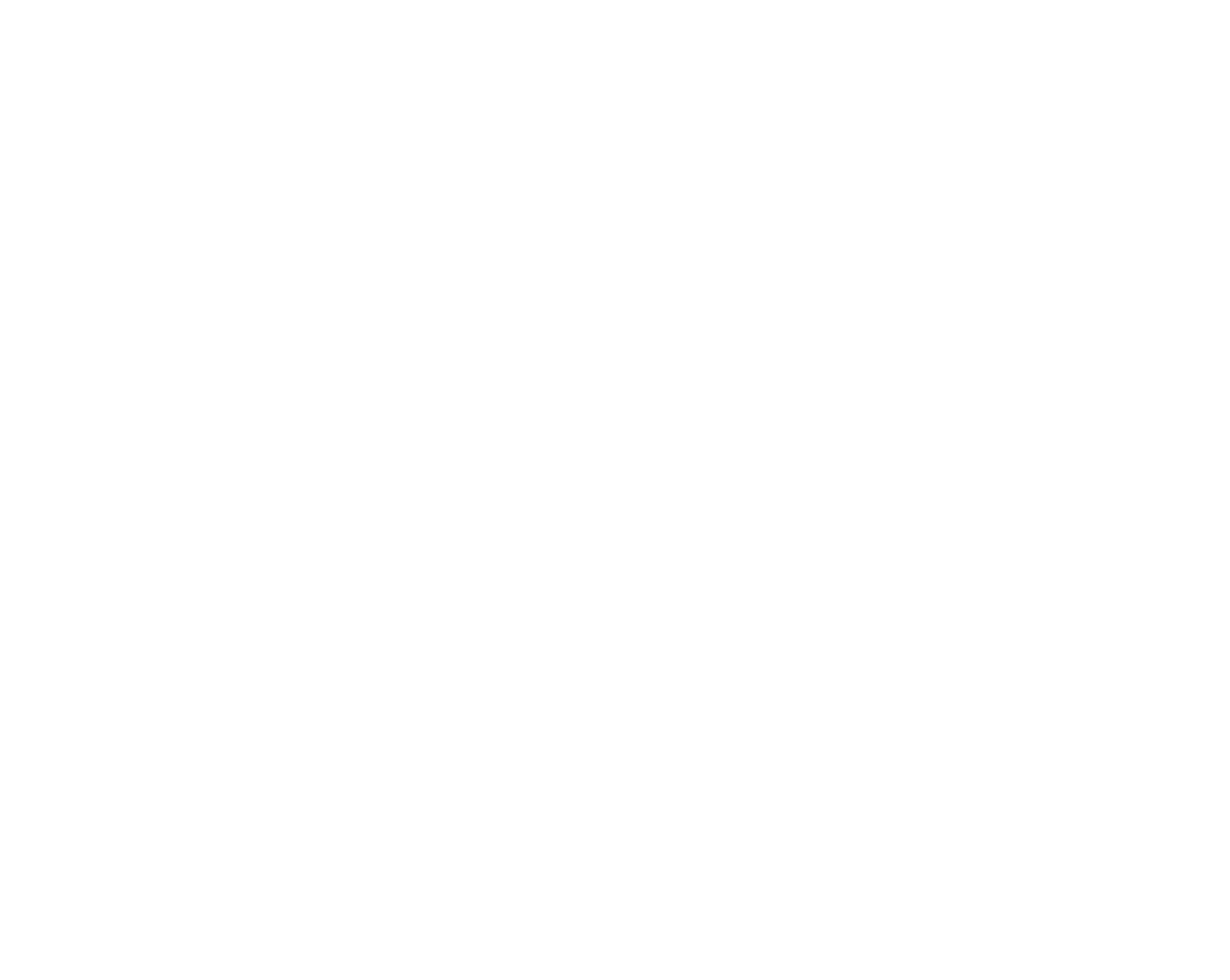 Shop-IQ Digitales Filialmanagement